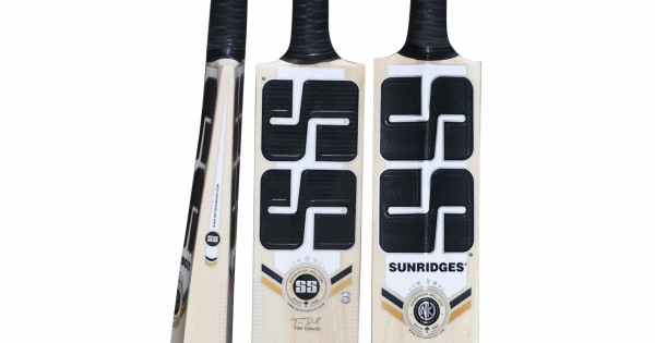 SS Tim David Player Kashmir Willow Cricket Bat